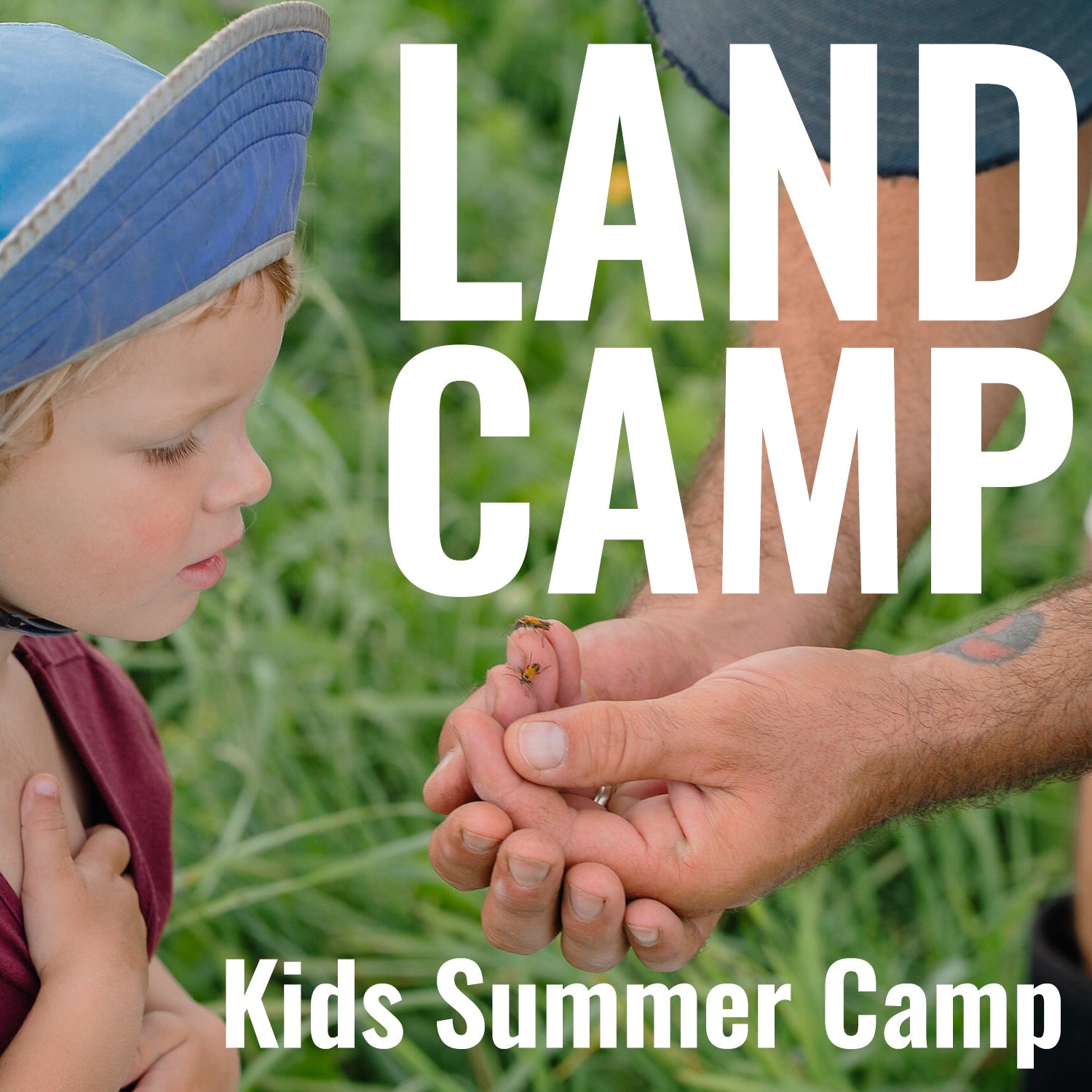 LAND CAMP - Summer Kids Camp 2025 – Evermeadow Farm