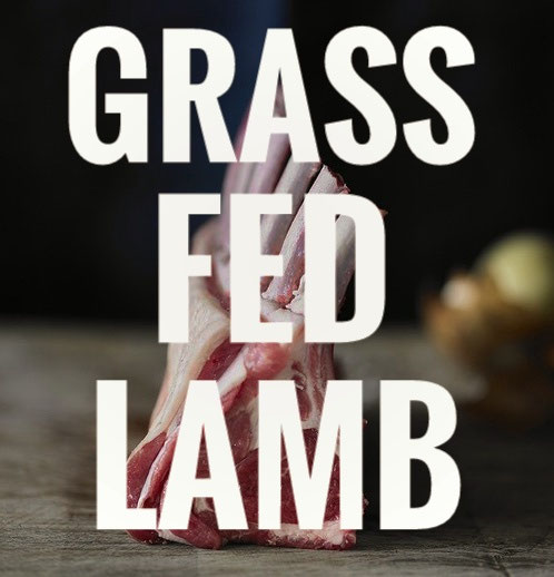 Grass Fed and Finished Lamb – Evermeadow Farm